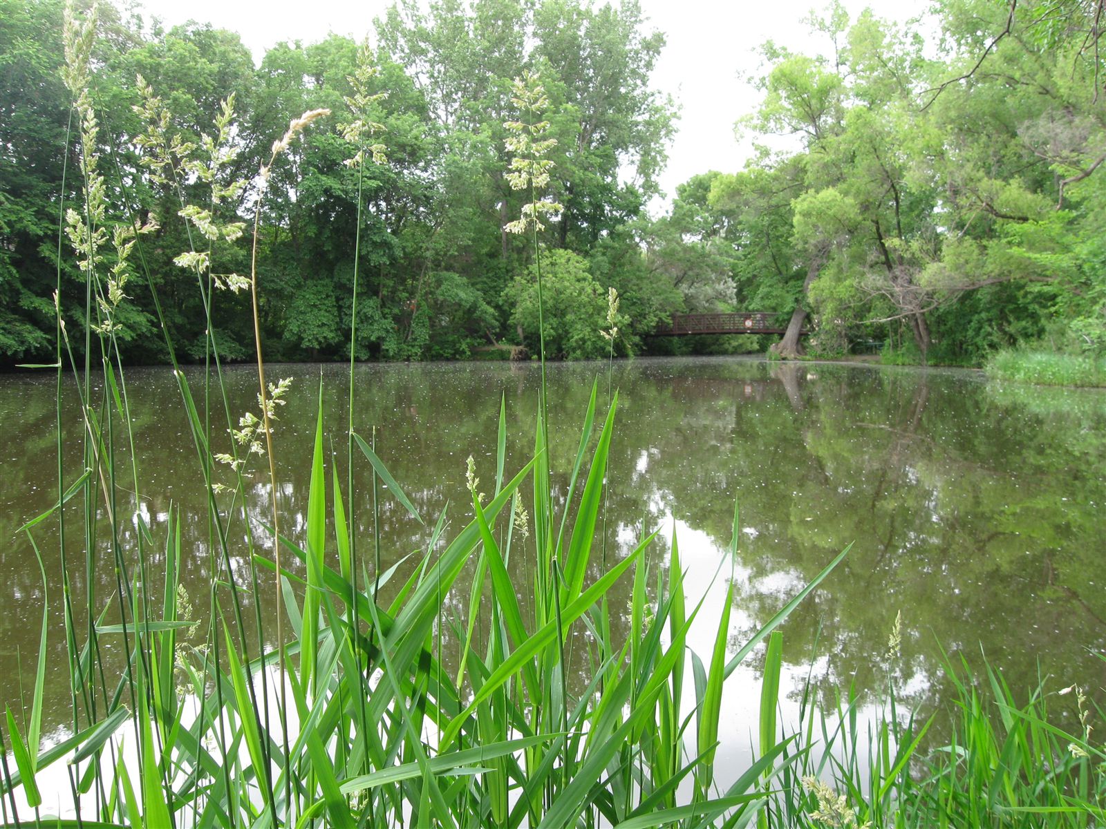 Locations Hub - Maple Grove Arboretum