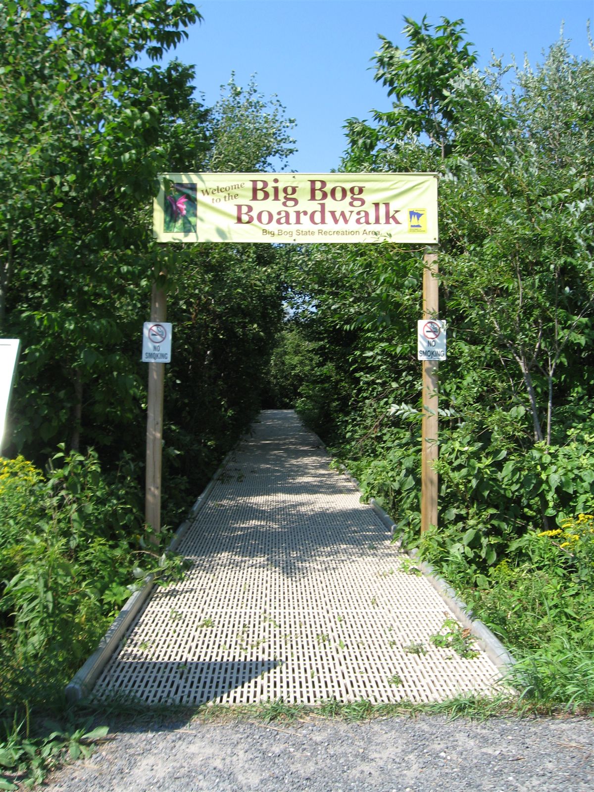 Locations Hub - Big Bog State Recreation Area