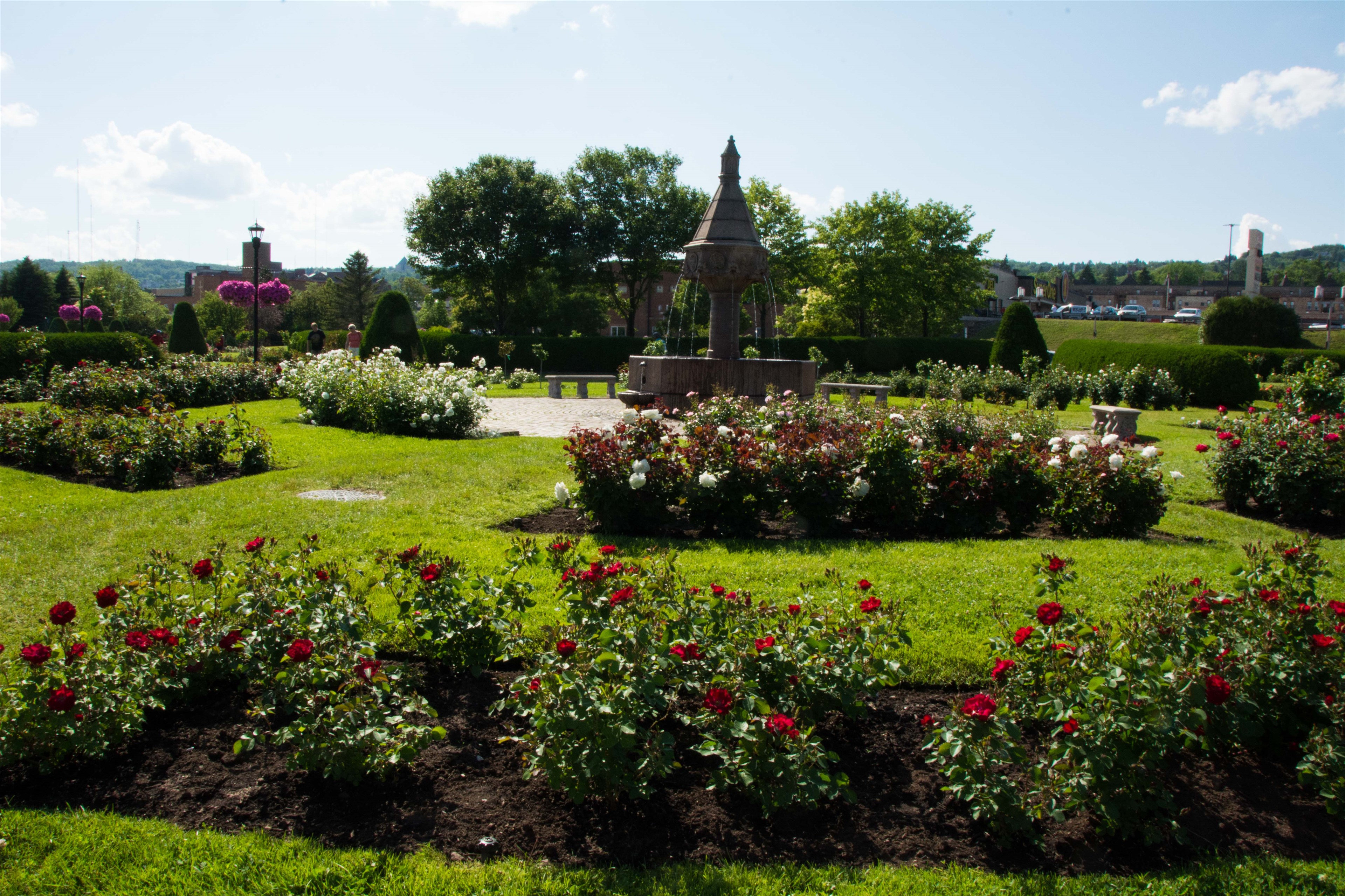 Locations Hub - Duluth Rose Garden