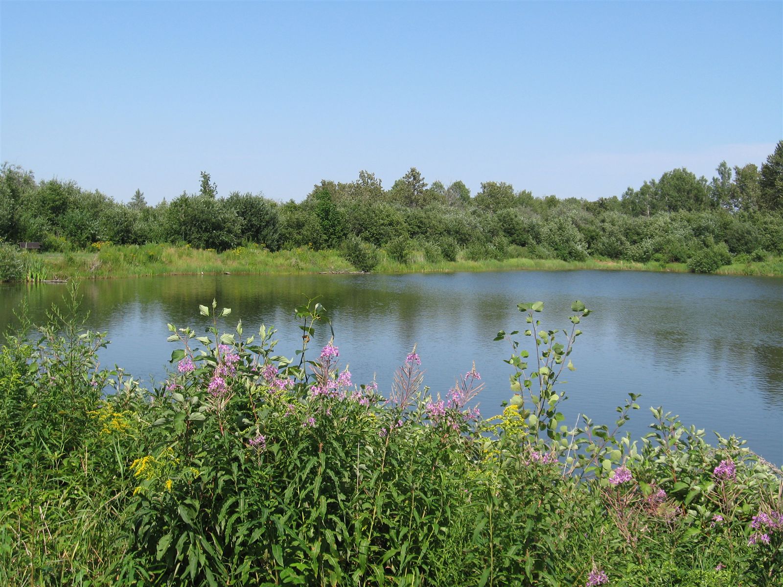 Locations Hub - Big Bog State Recreation Area