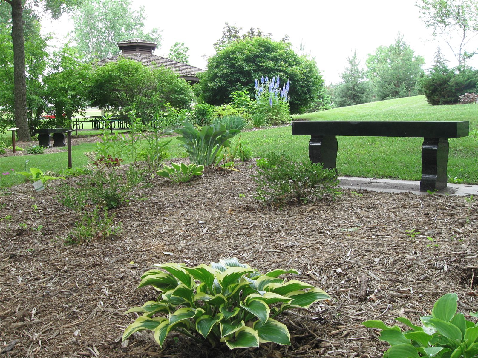 Locations Hub - Maple Grove Arboretum