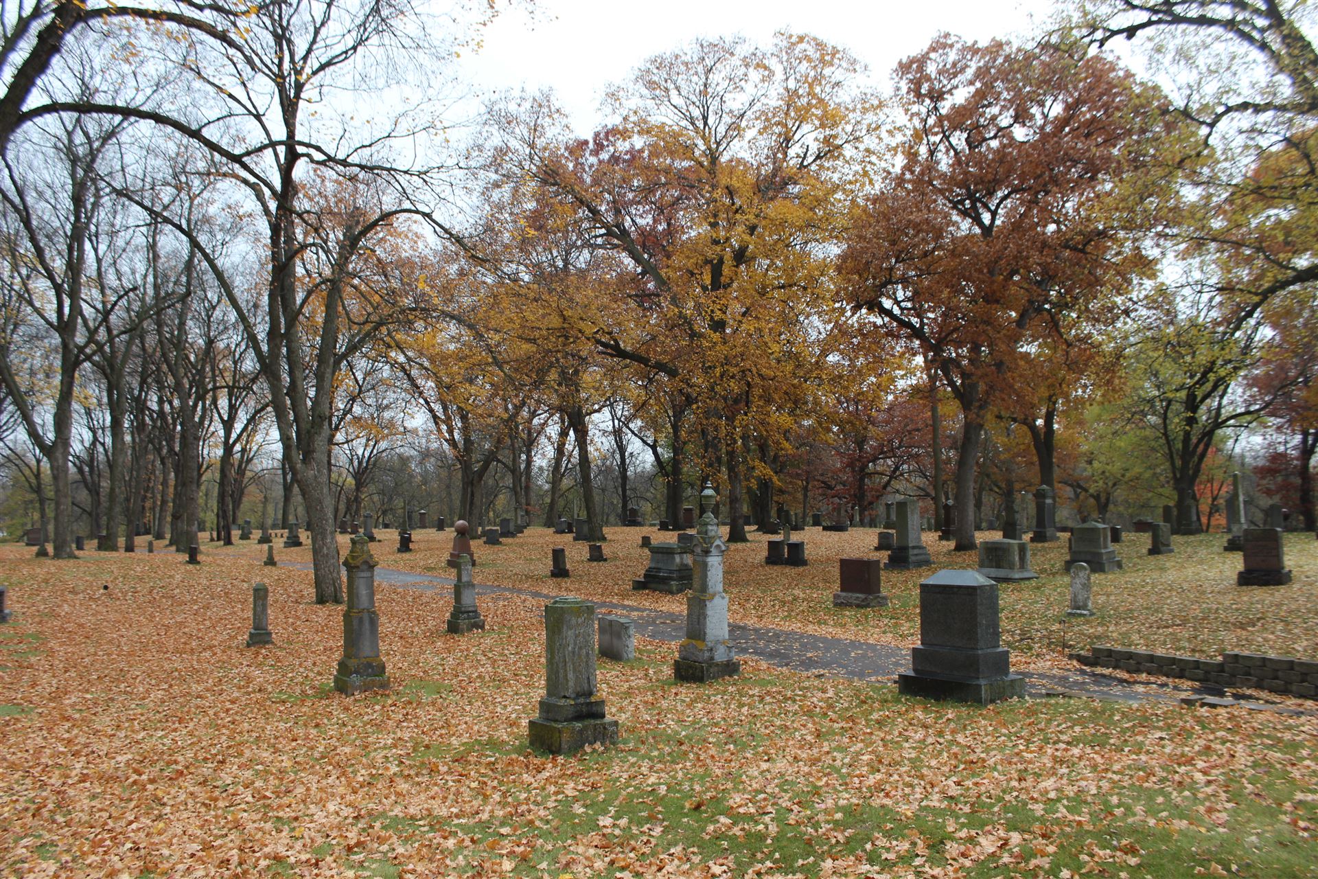 Locations Hub - Forest Hill Cemetery