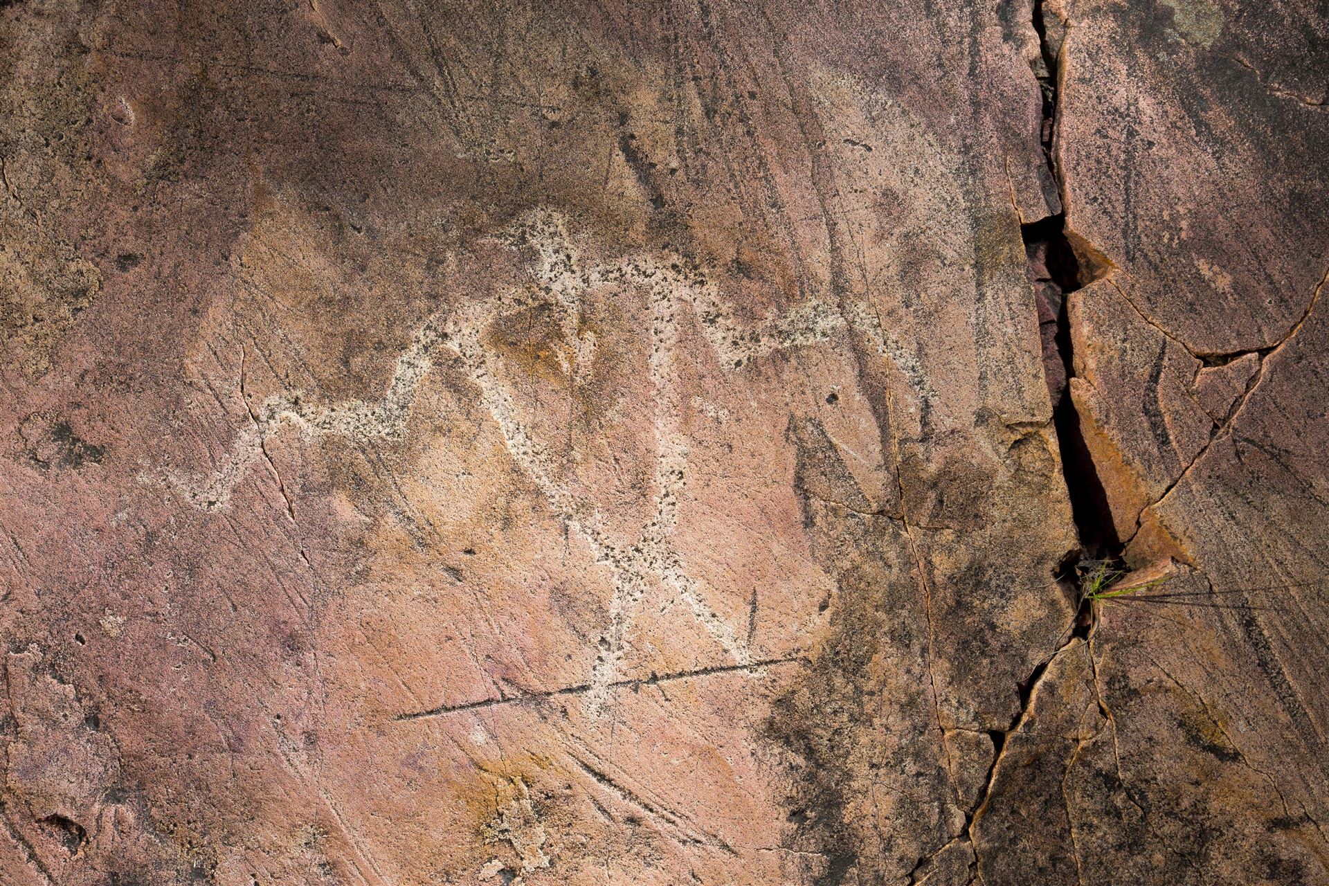 Locations Hub - Jeffers Petroglyphs