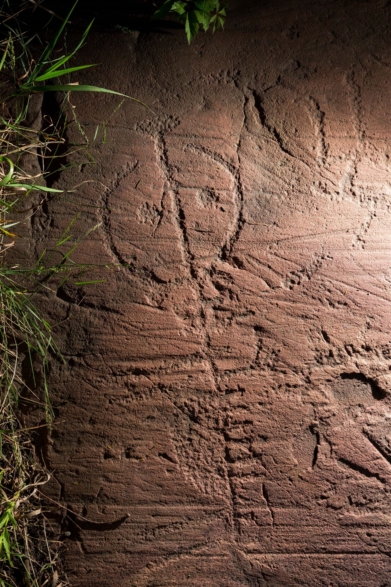 Locations Hub - Jeffers Petroglyphs
